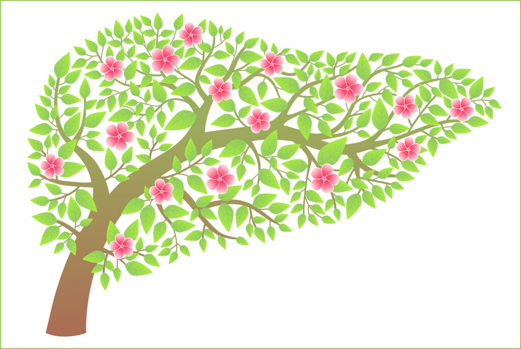 Liver Health Center - Synergy Healthcare